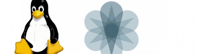 Terabit Systems: Used Juniper, Cisco, Brocade, & Arista Network Hardware